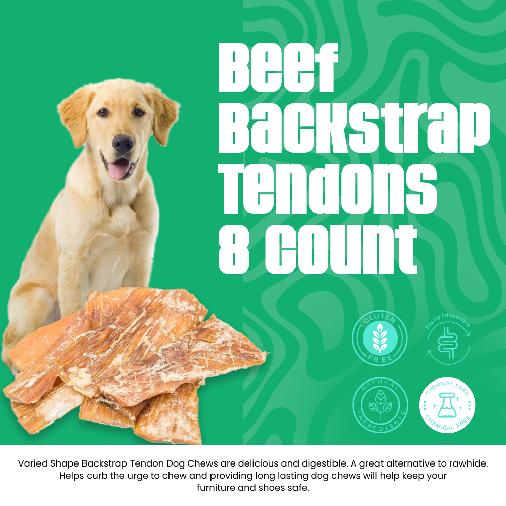 Beef Backstrap Tendons 8 count – Chomper Treat Box LLC